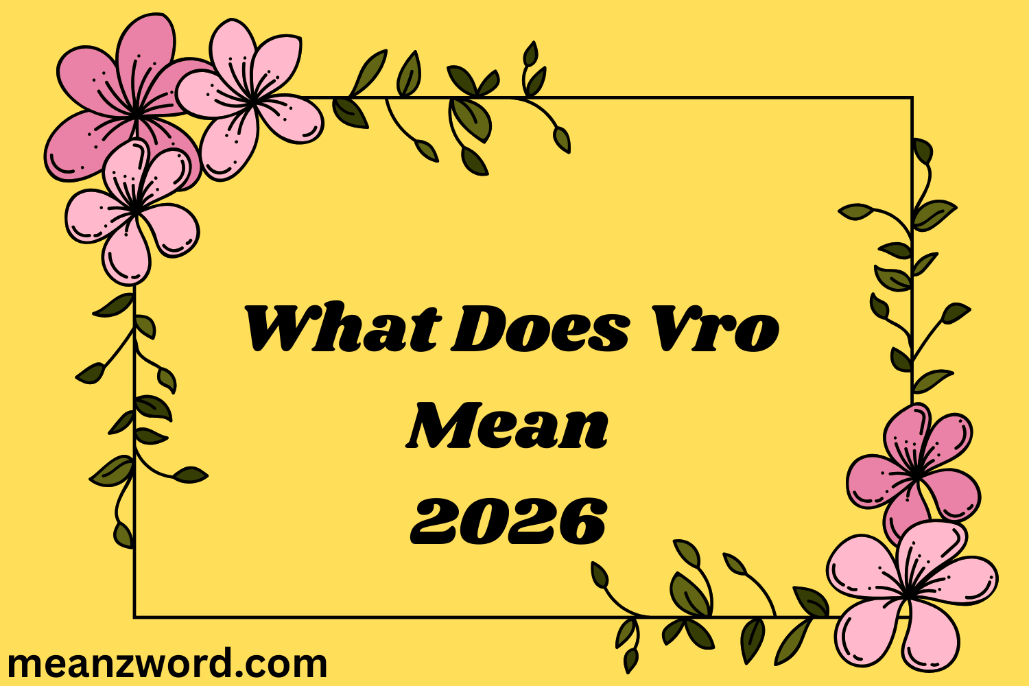 What Does Vro Mean? The Real Meaning Origins 2026